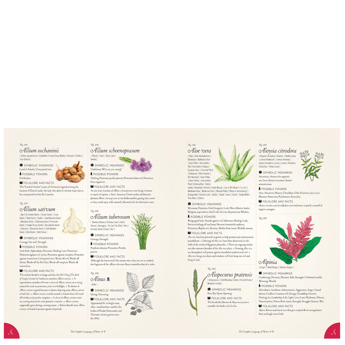 The Complete Language of Flowers: A Definitive & Illustrated History P ...