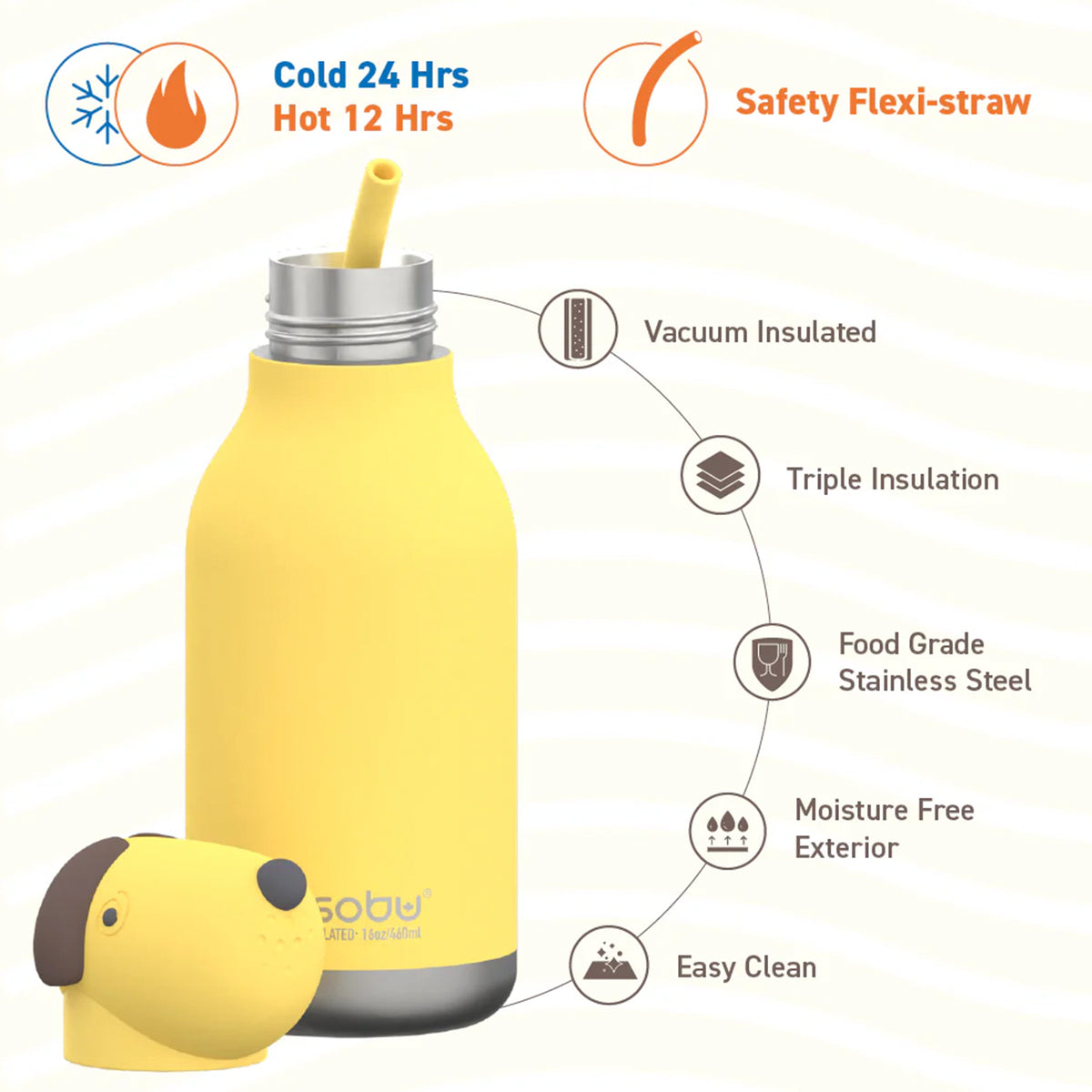 Asobu Bestie 460ml Insulated Stainless Steel Reusable Bottle - Gerry t ...