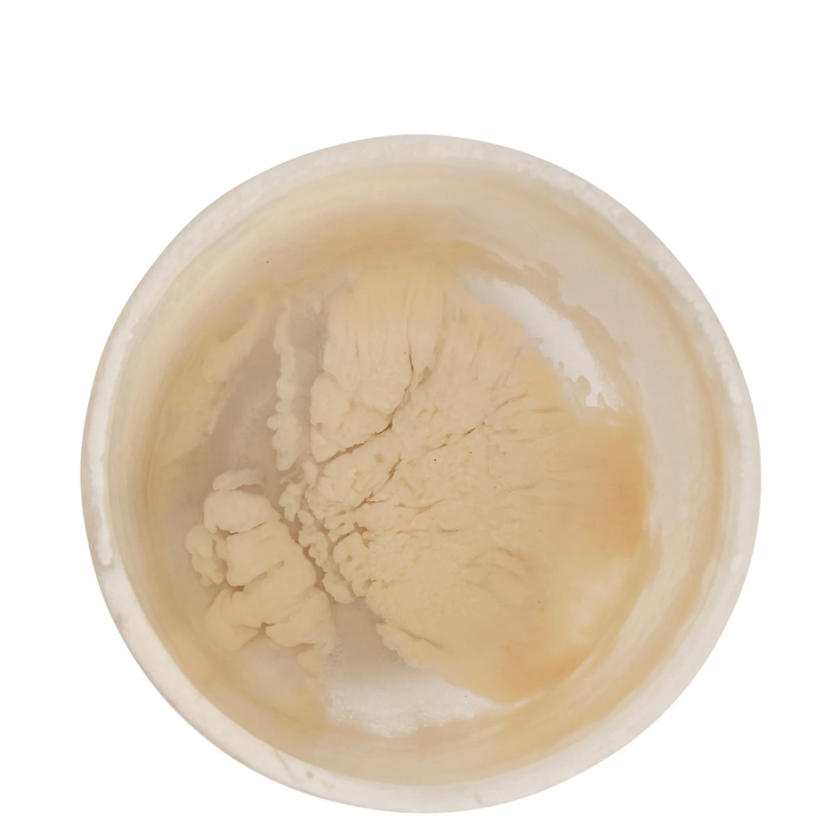 Sage x Clare Resin Amisha Vase - Vanilla | Tea Pea