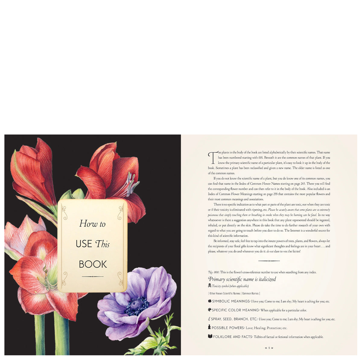 The Complete Language of Flowers: A Definitive & Illustrated History P ...