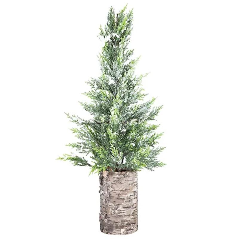 Bark Base Cyprus Tree | Tea Pea